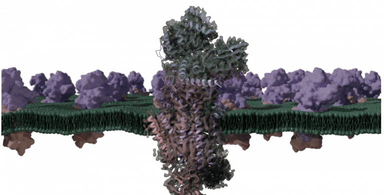 2nd CryoNET course on advanced single particle cryo-EM analysis | cryoNET